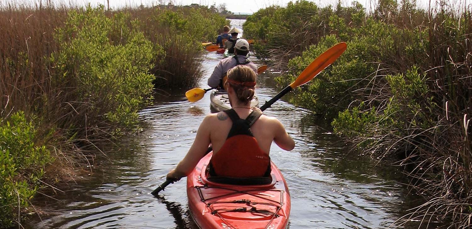 Outer Banks Kayak Tours • #1 Rated • National Geographic Top Adventure